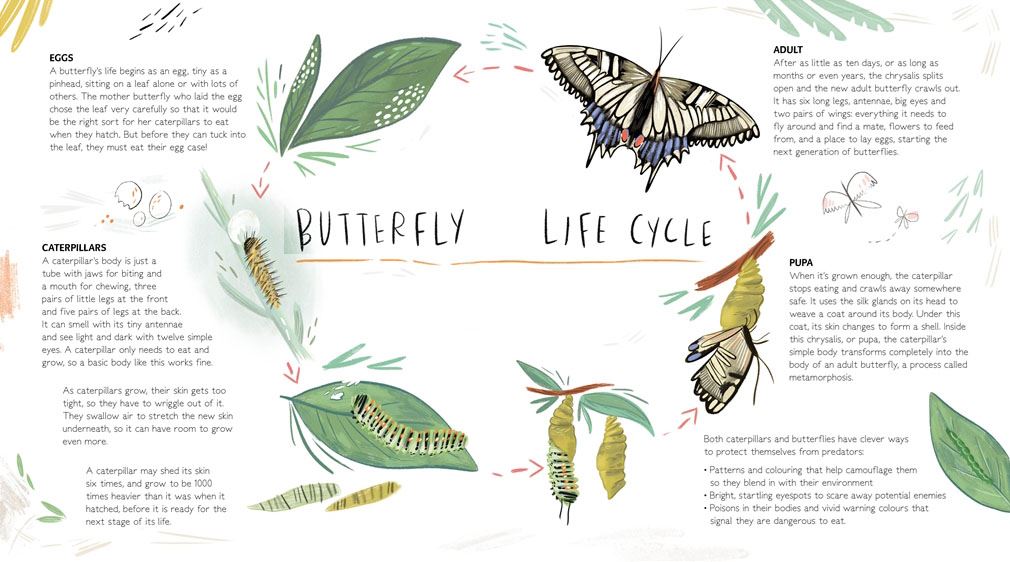 Book - My Butterfly Bouquet – Industry & Co - Kids