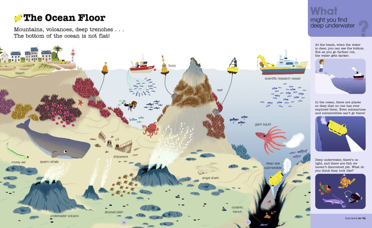 Book - Do You Know Oceans & Marine Life – Industry & Co - Kids